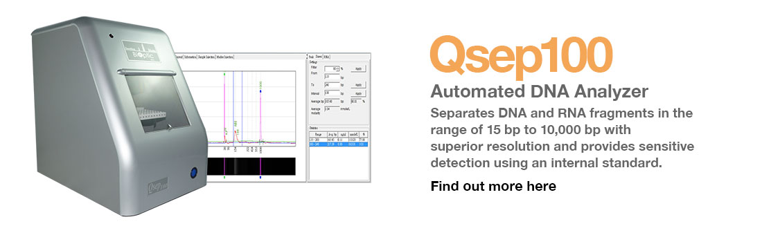 Western Blot Apparatus - Western Blot | Precision Biosystems